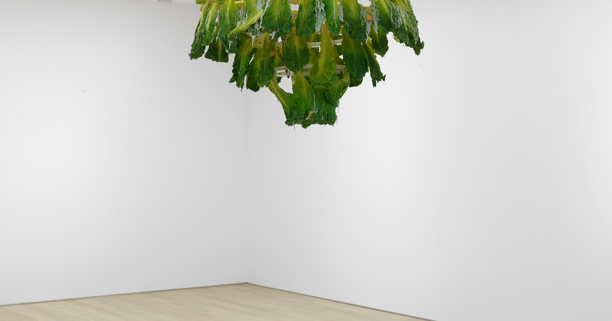 Chloe Wise, Caesar Salad Chandelier, 2021