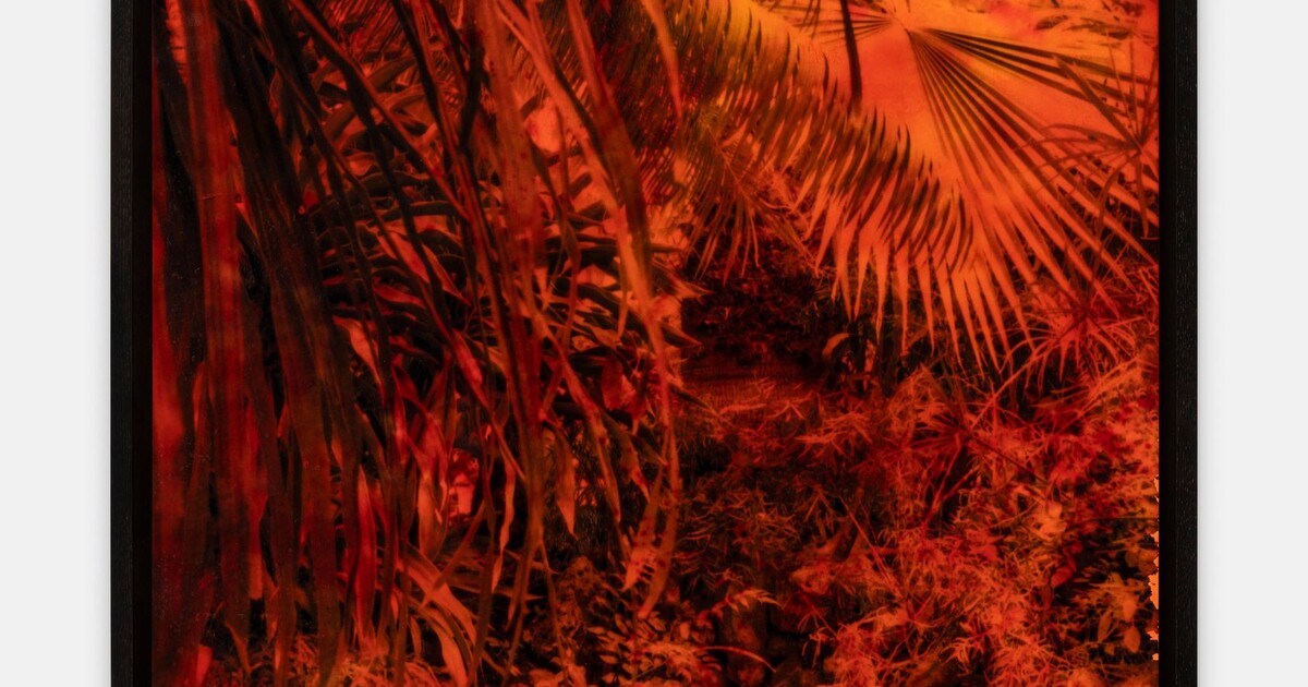 Thu-Van Tran, From Green To Orange, 2022