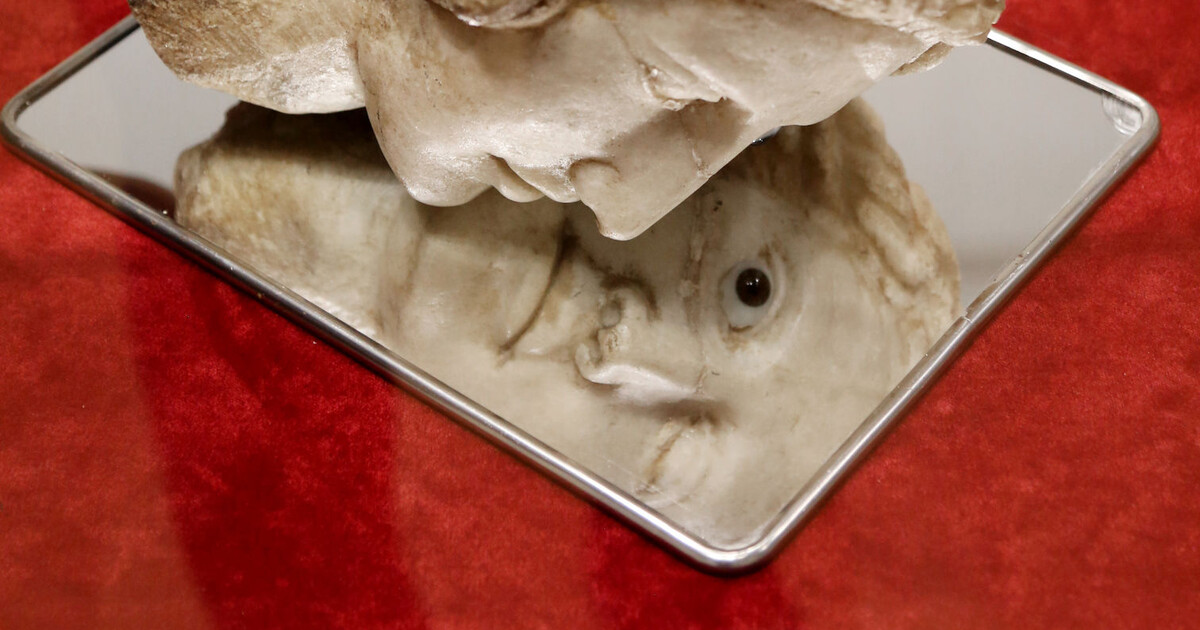 Ali Cherri - Triumph of the Limp - Almine Rech