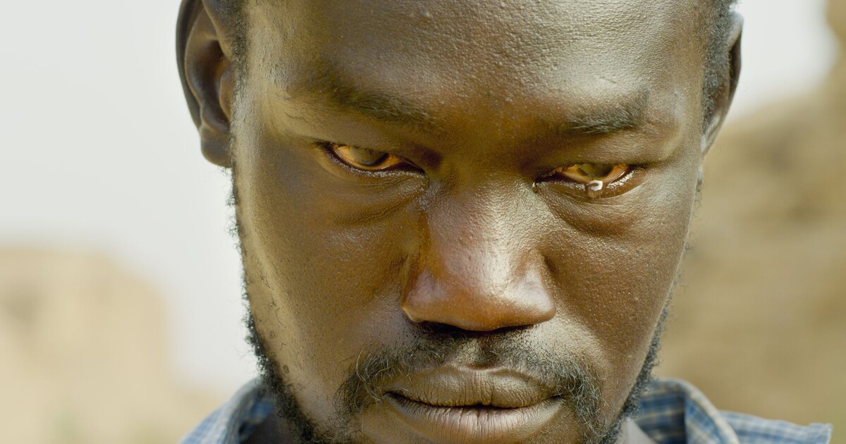 Recent Museum Acquisition - Almine Rech